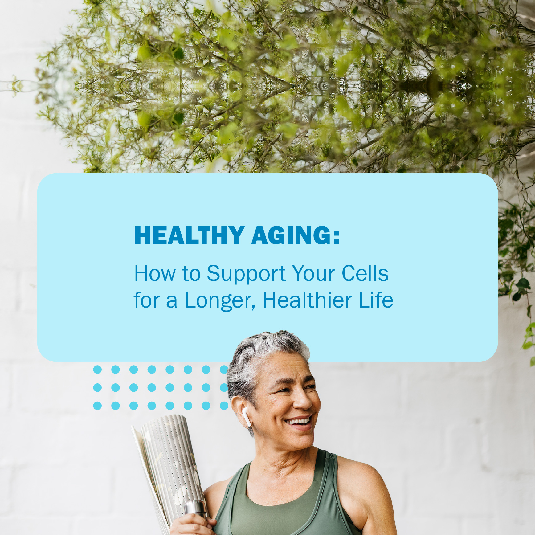 Wellworks For You | Healthy Aging and Cellular Senescence: How to Support Your Cells for a ...